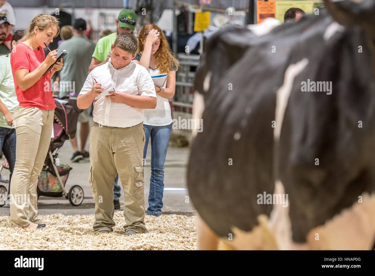 Young judges take notes as they examine a cow during the Maryland state ...