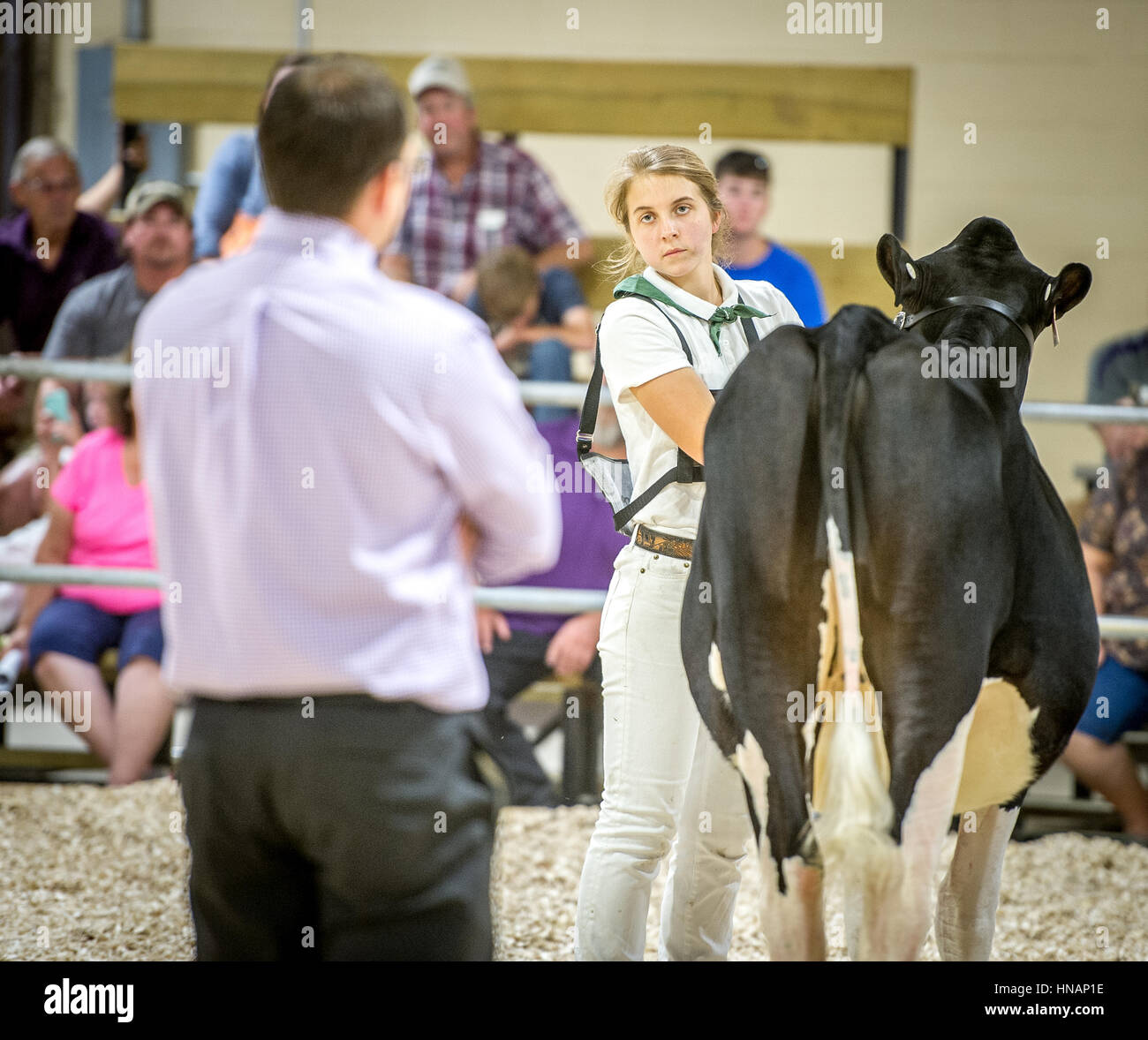 Cow girl hi-res stock photography and images - Alamy