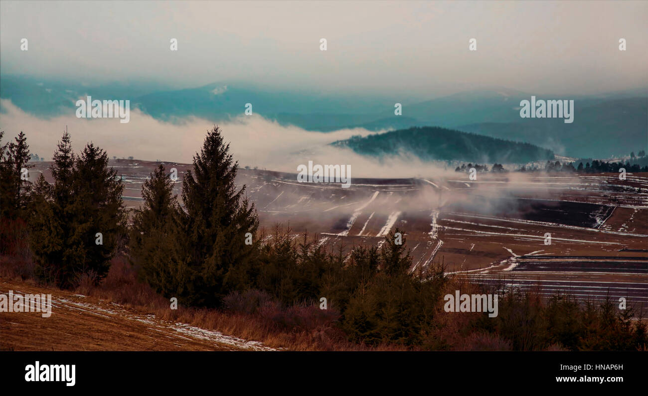 Foggy dramatic meadow and mountain landscape with forest and mist Stock ...