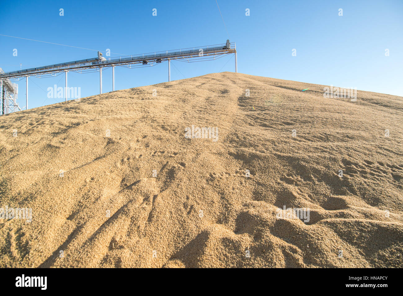 Wheat piles hi-res stock photography and images - Alamy