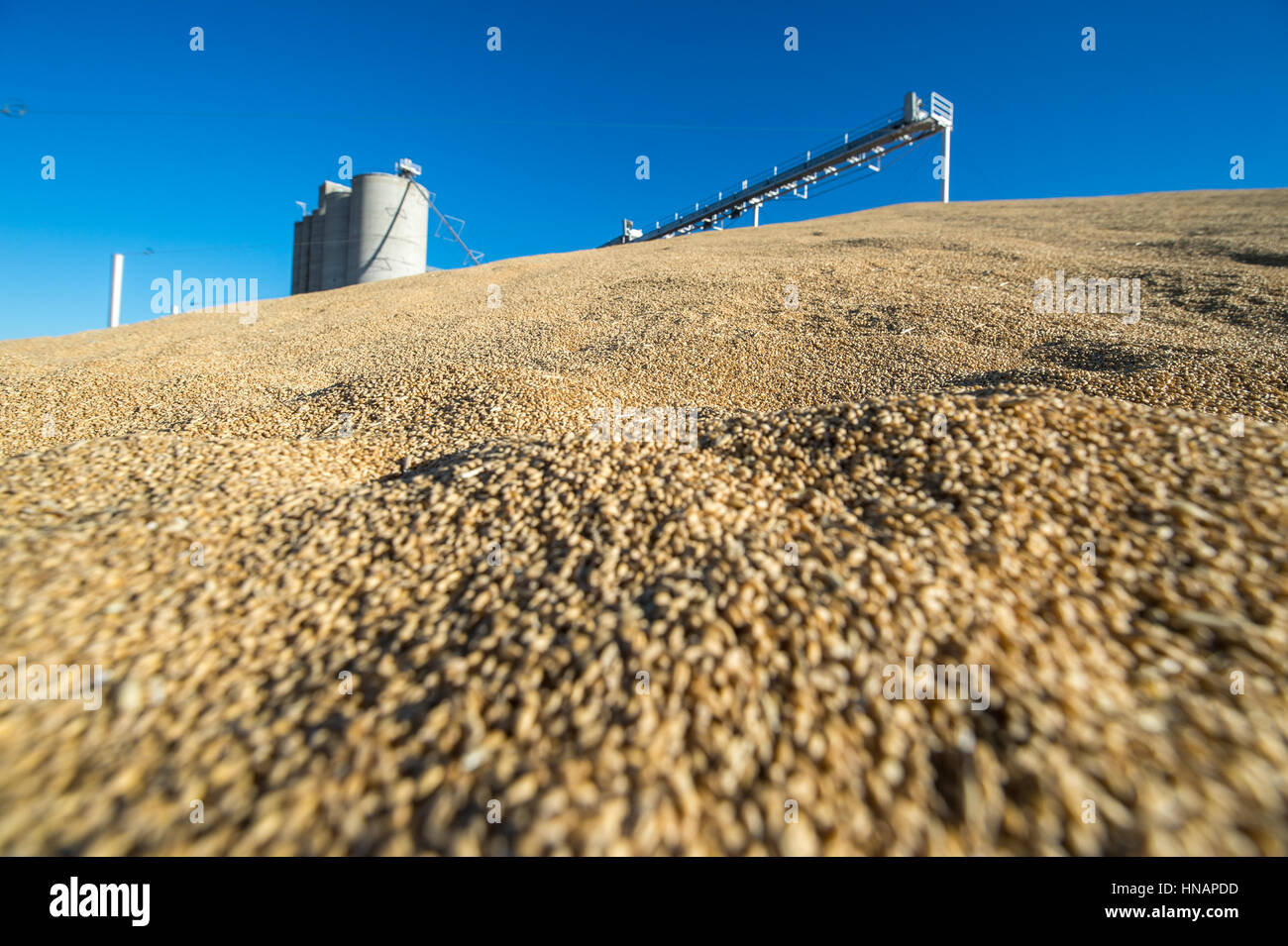 Grain elevator in palouse washington hi-res stock photography and ...