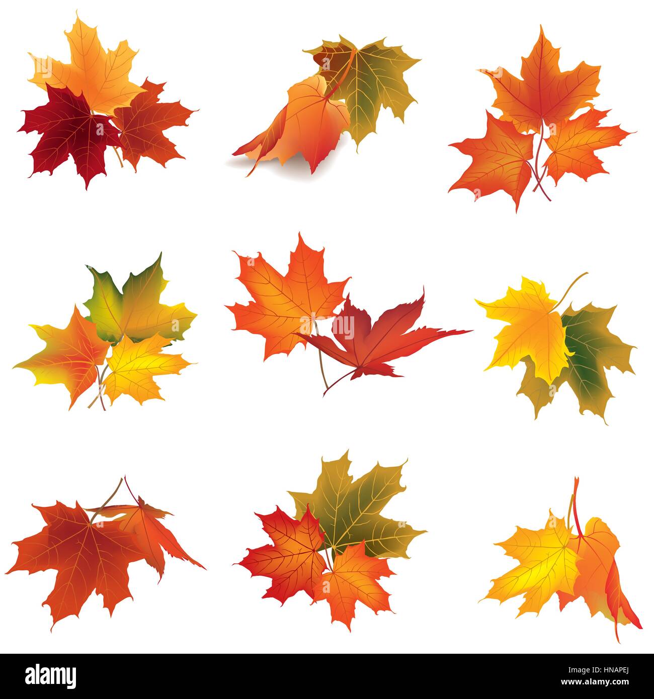 Autumn icon set. Fall leaves and berries. Nature symbol vector ...