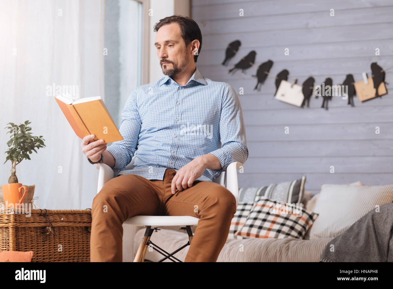 Handsome pleasant man reading a book Stock Photo - Alamy