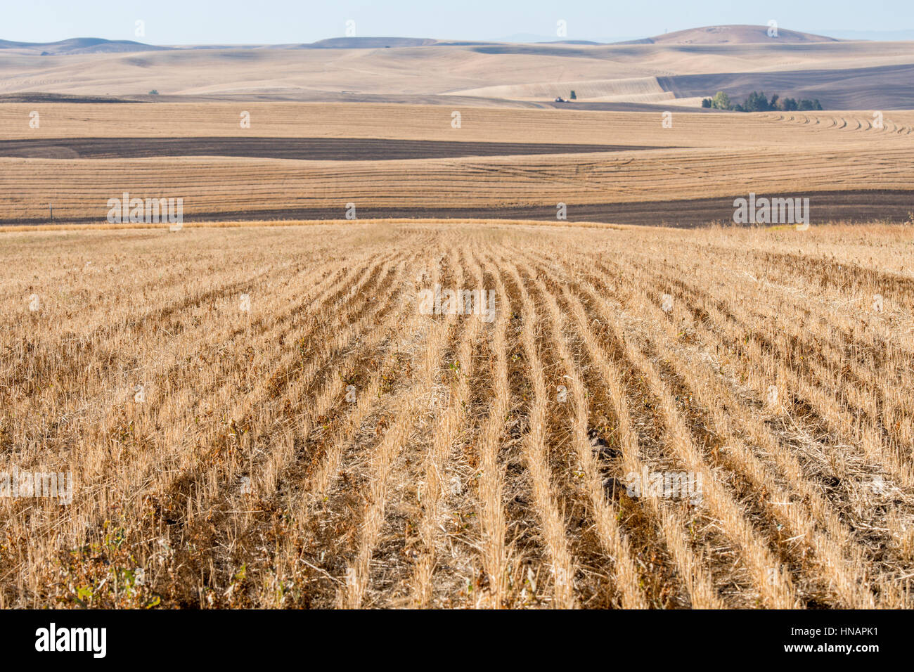 Reardan washington hi-res stock photography and images - Alamy