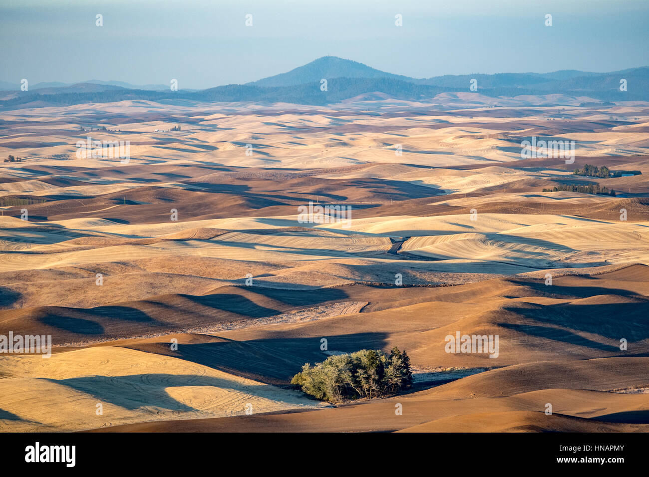 Views of the Palouse from Steptoe Butte Stock Photo - Alamy