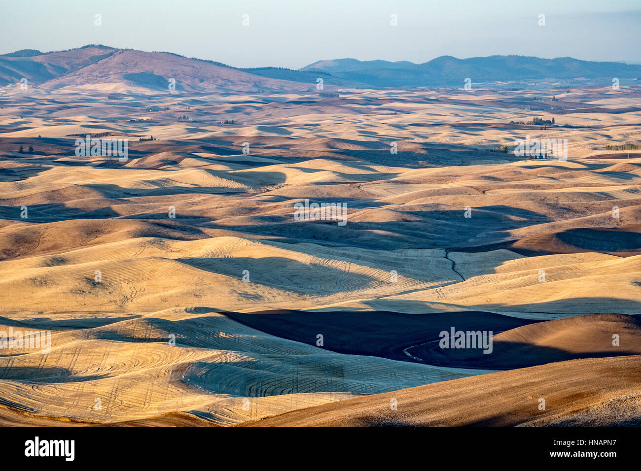Views of the Palouse from Steptoe Butte Stock Photo - Alamy