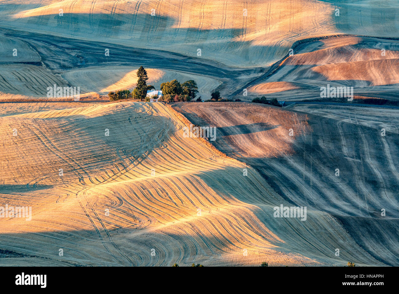Views of the Palouse from Steptoe Butte Stock Photo - Alamy