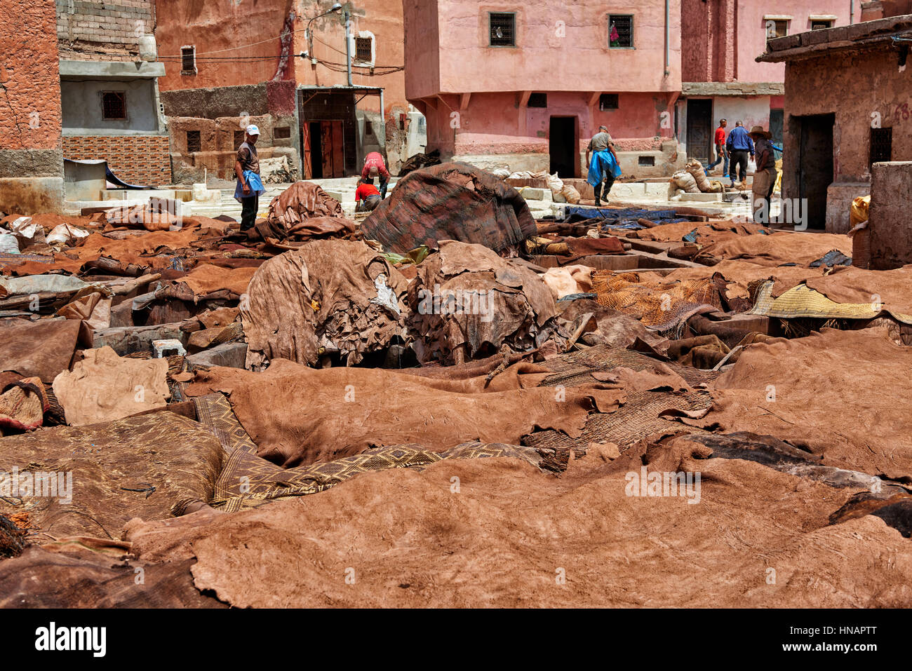 Marrakech leather tannery hi-res stock photography and images - Alamy