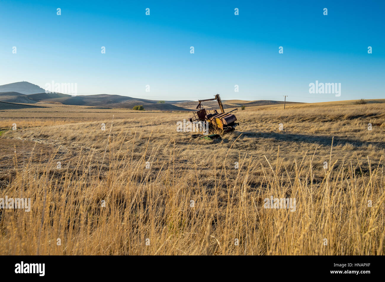 Agriculture in the Washington State Stock Photo - Alamy