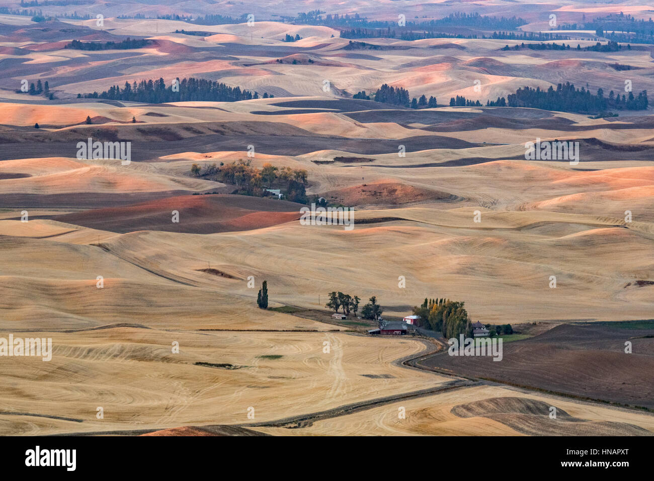 Agriculture in the Washington State Stock Photo - Alamy