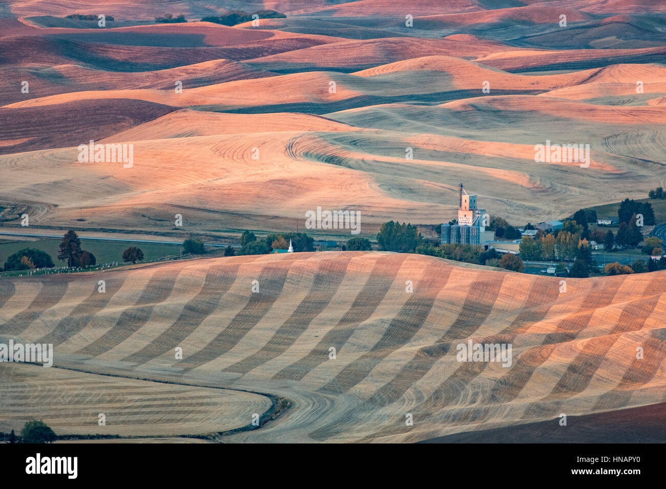 Agriculture in the Washington State Stock Photo - Alamy