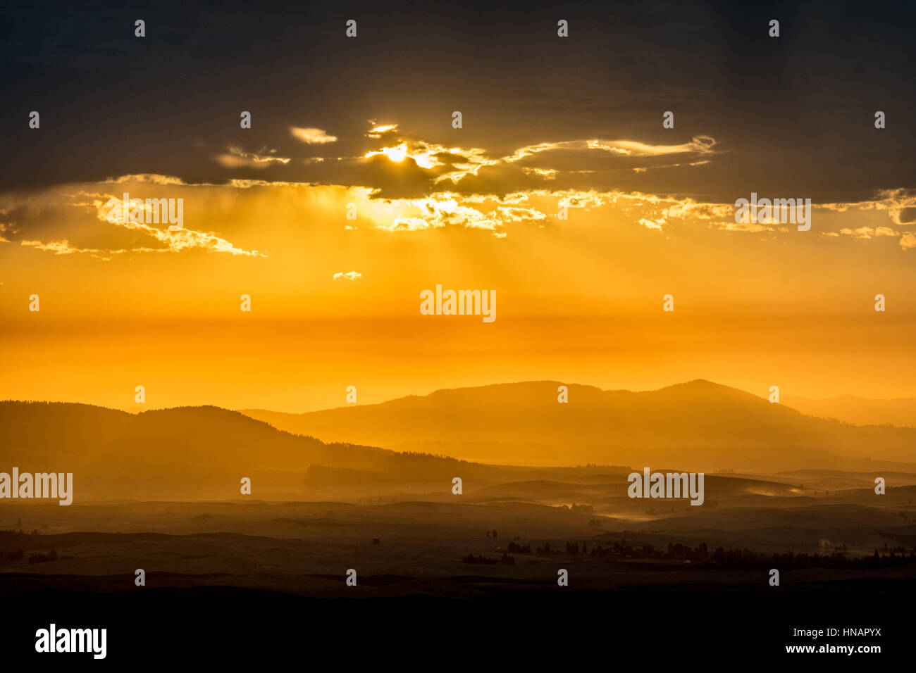 Agriculture in the Washington State Stock Photo - Alamy