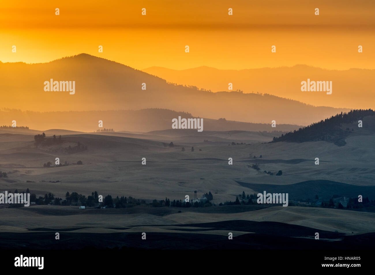 Agriculture in the Washington State Stock Photo - Alamy