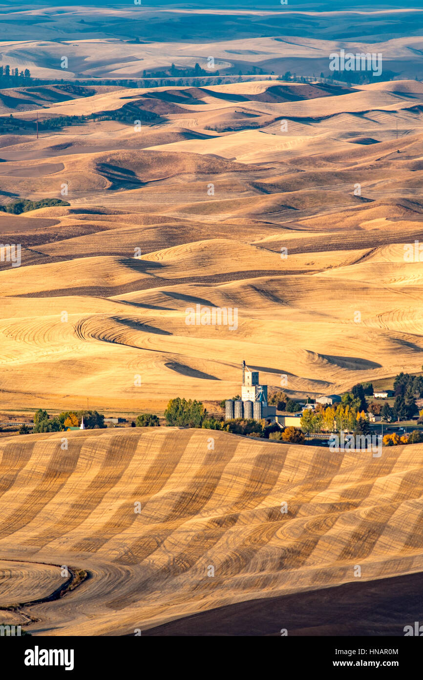 Agriculture in the Washington State Stock Photo - Alamy