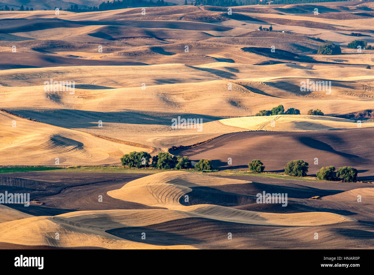 Agriculture in the Washington State Stock Photo - Alamy