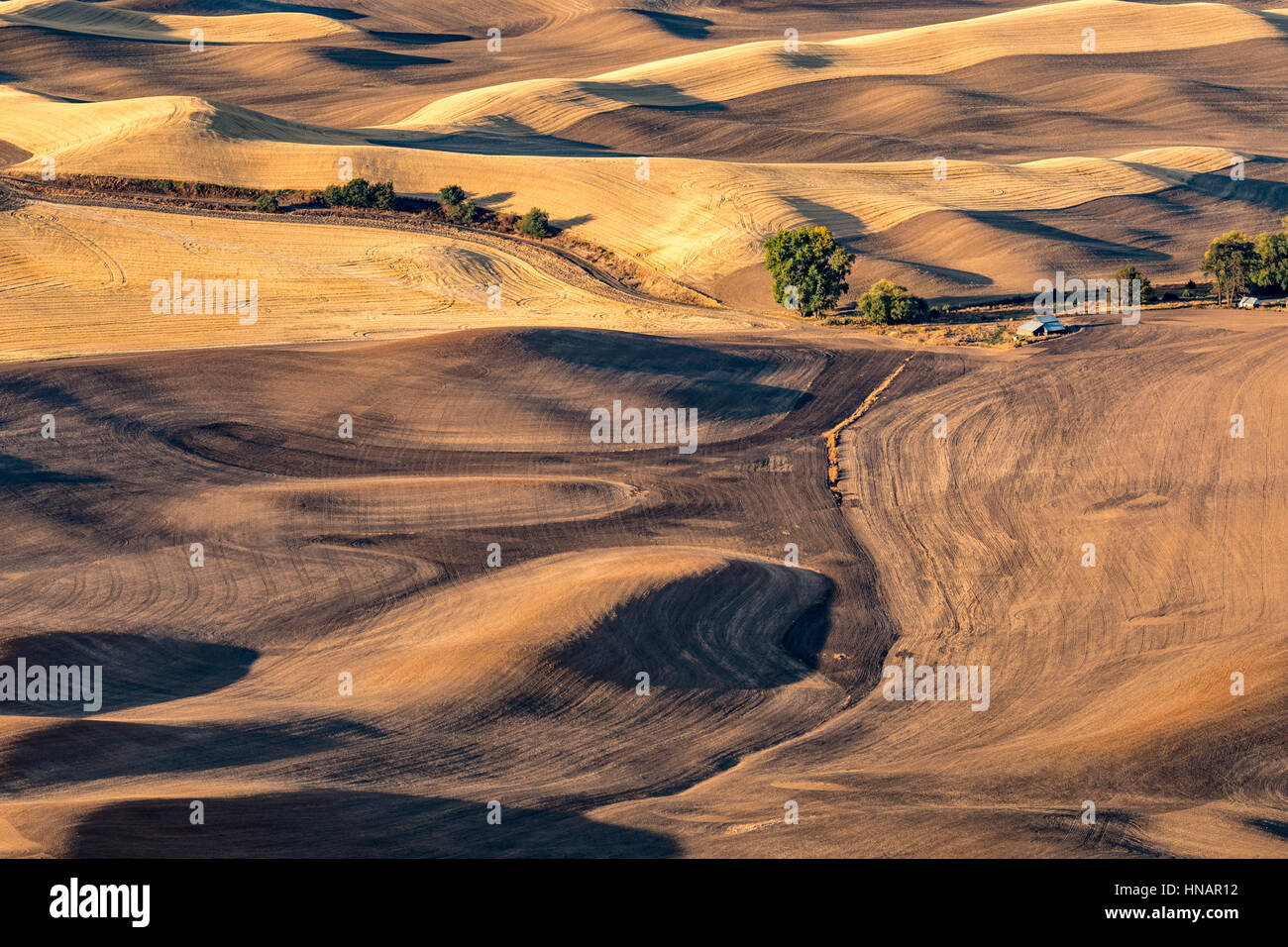 Agriculture in the Washington State Stock Photo - Alamy