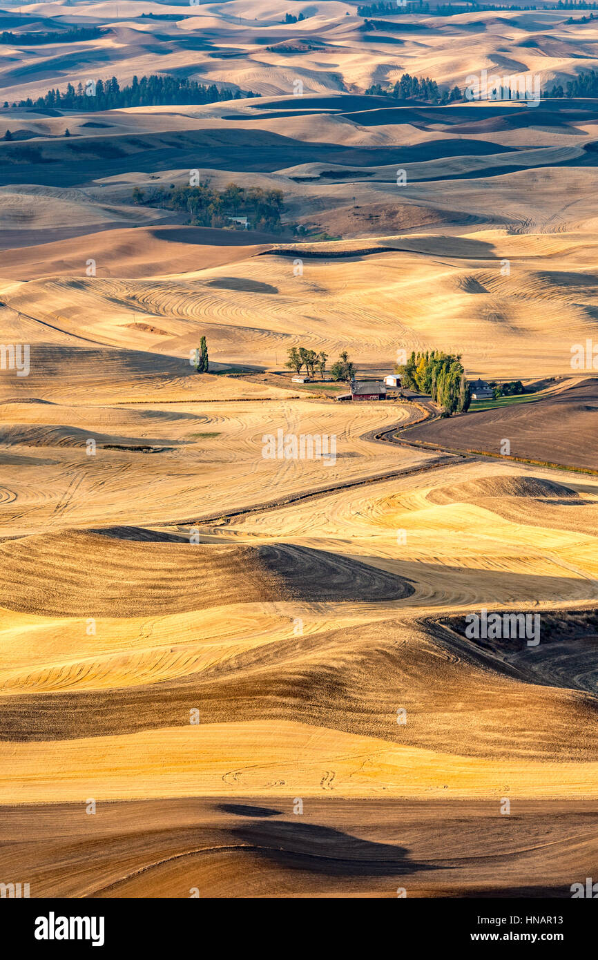 Agriculture in the Washington State Stock Photo - Alamy