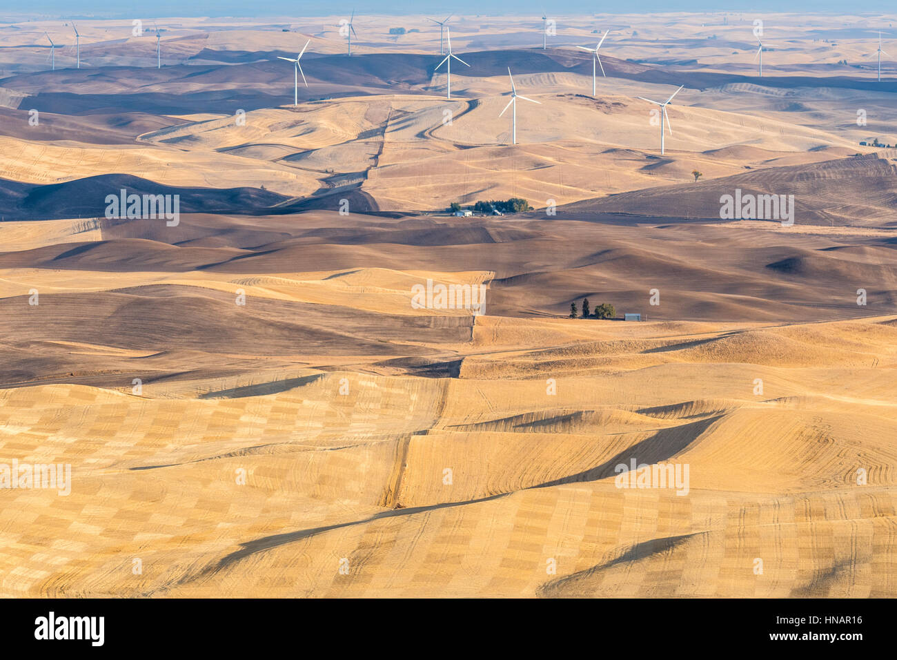 Agriculture in the Washington State Stock Photo - Alamy