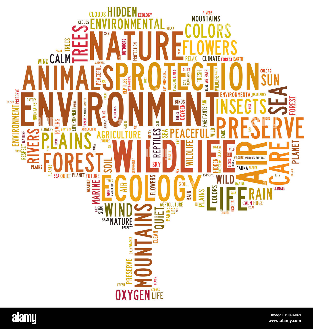 Word cloud featuring concepts referred to nature and environment Stock ...