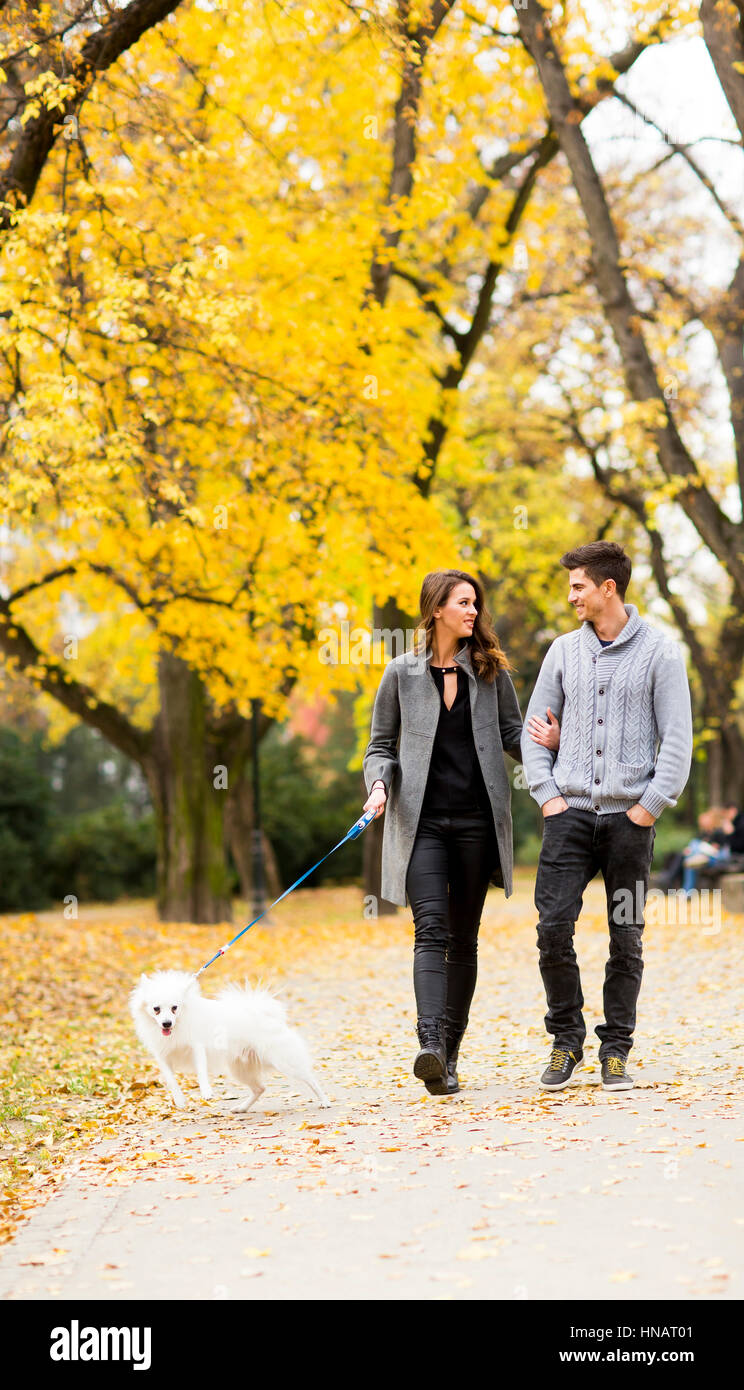 Couple walking with a dog in the park Stock Photo - Alamy