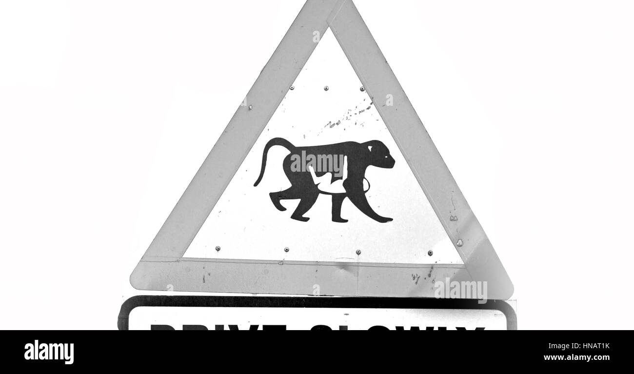 blur in south africa close up of the sign symbol like texture ...