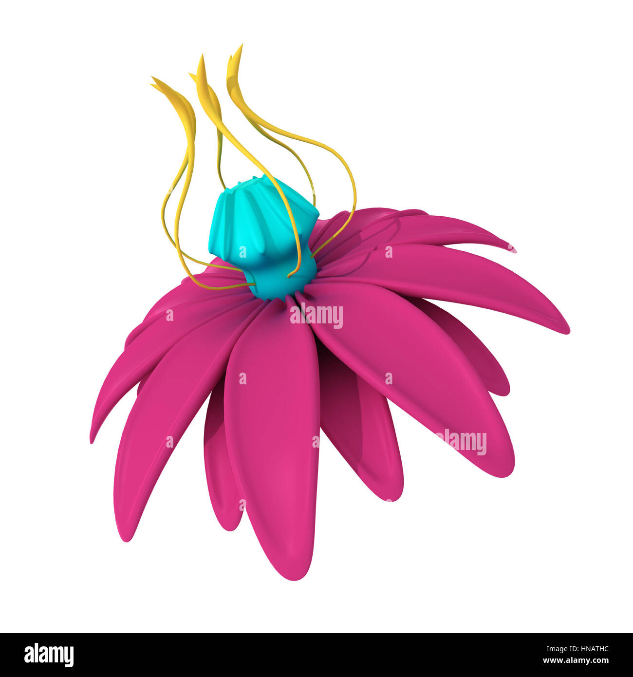 Flower pink colour Cut Out Stock Images & Pictures - Alamy