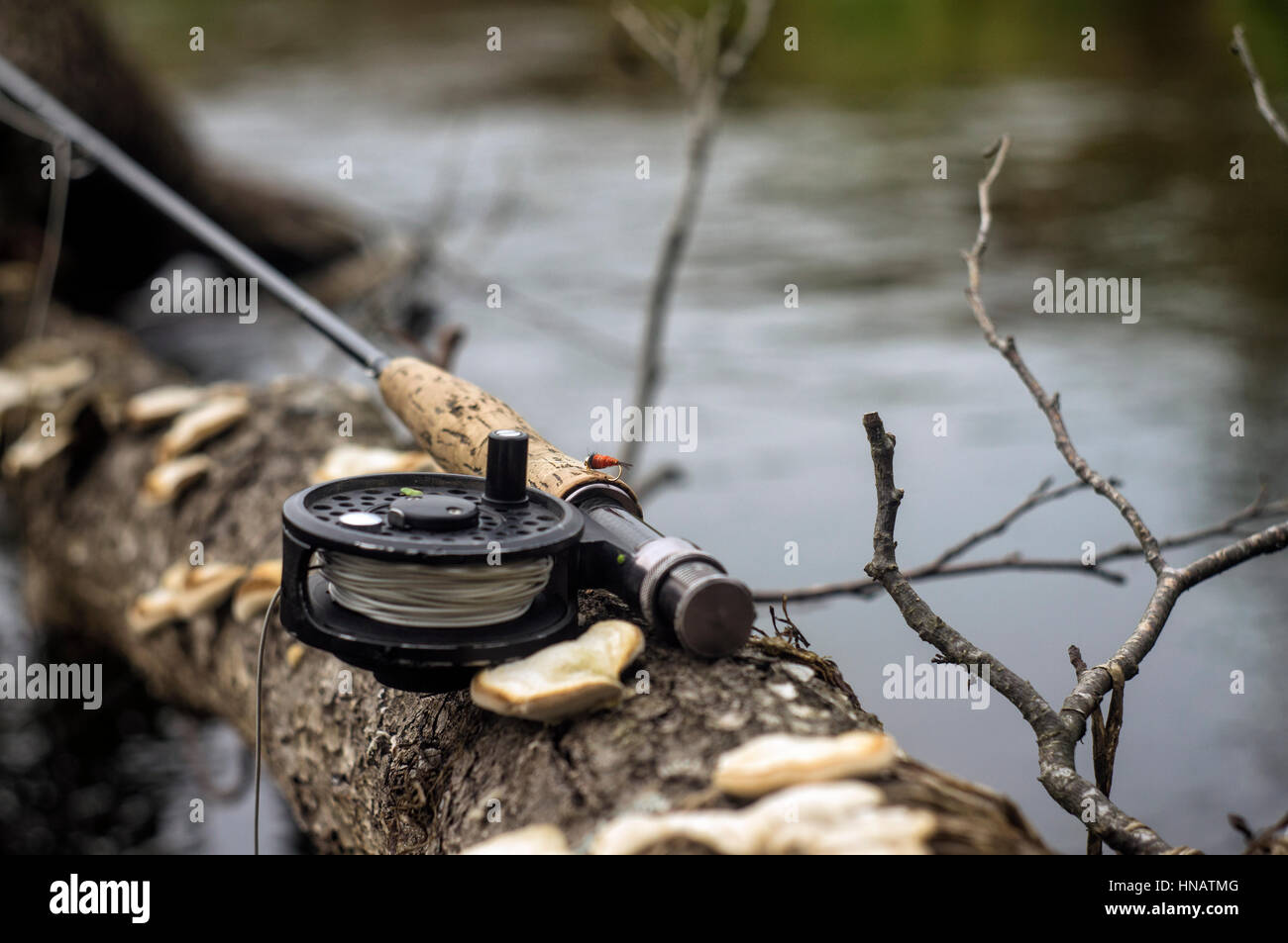 Fly tackle hi-res stock photography and images - Alamy