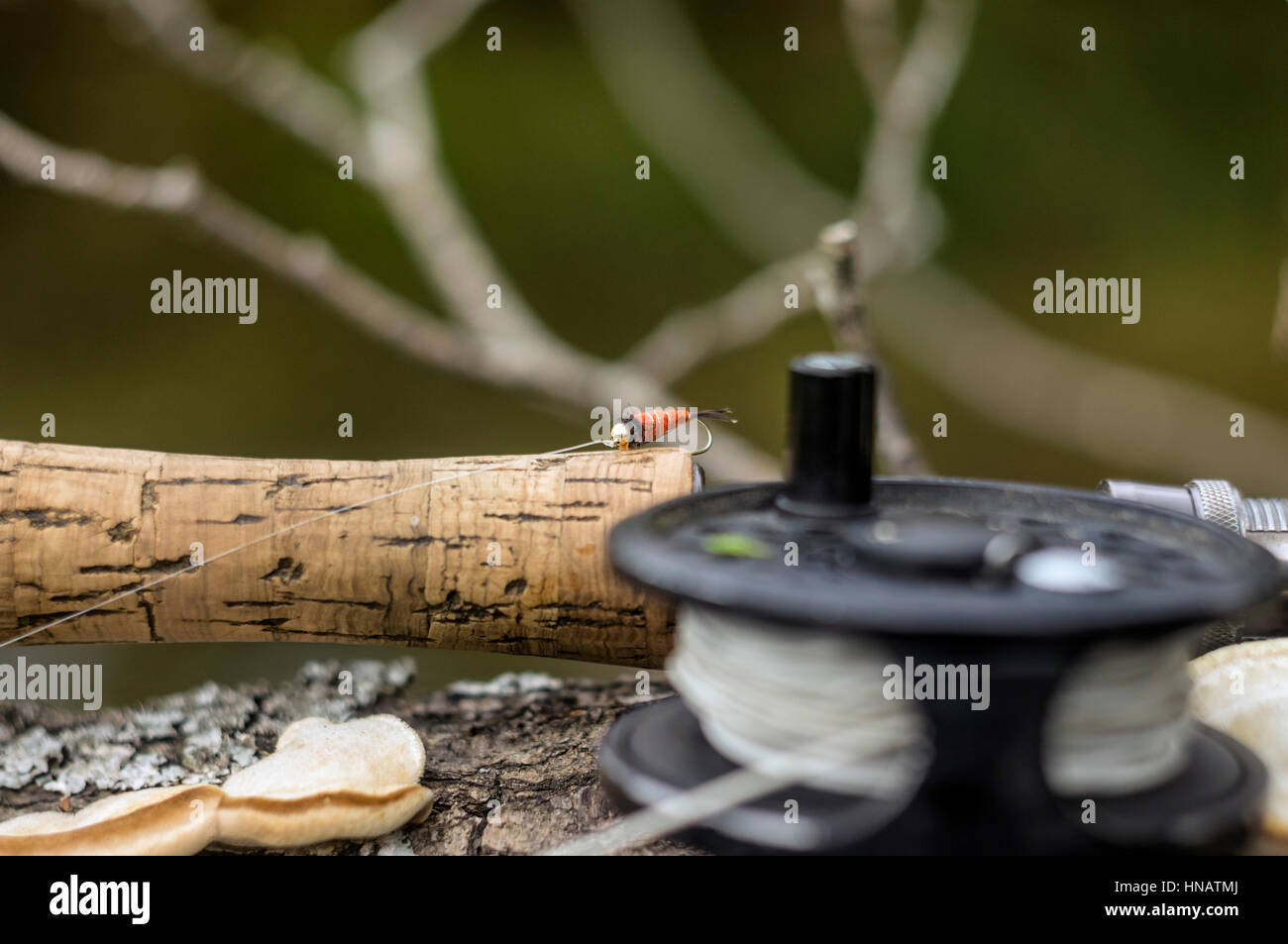 Fly tackle hi-res stock photography and images - Alamy