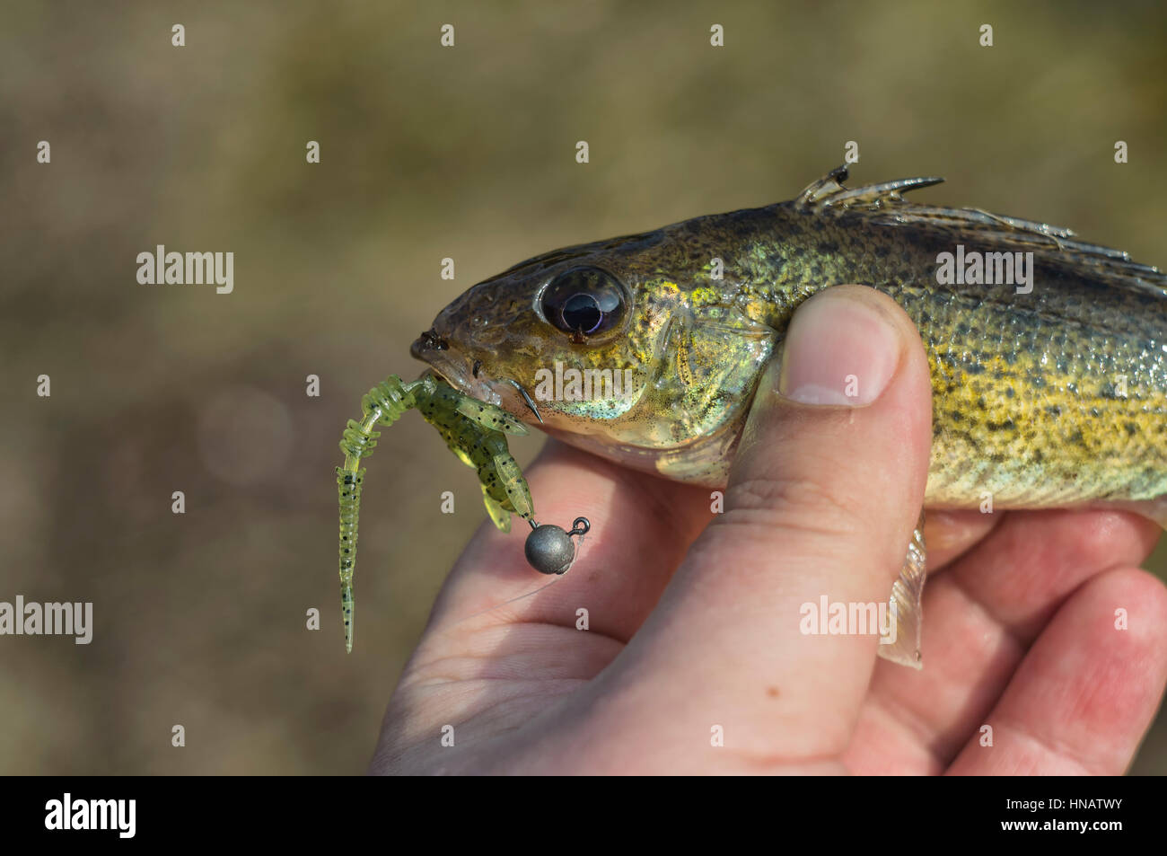 Tail spinning hi-res stock photography and images - Alamy