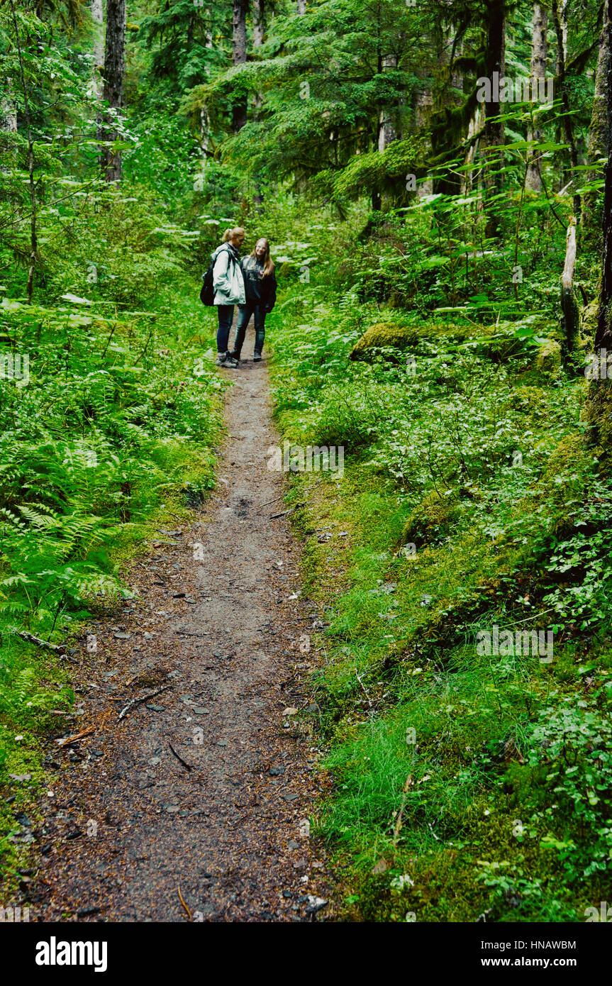 Rainforest loop trail hi-res stock photography and images - Alamy