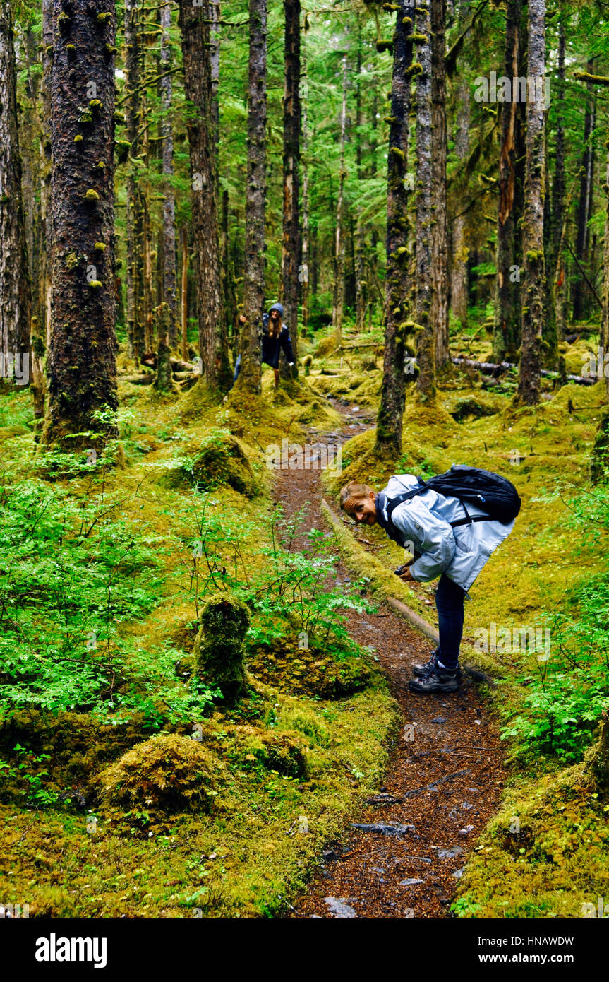 Glacier bay forest hi-res stock photography and images - Alamy
