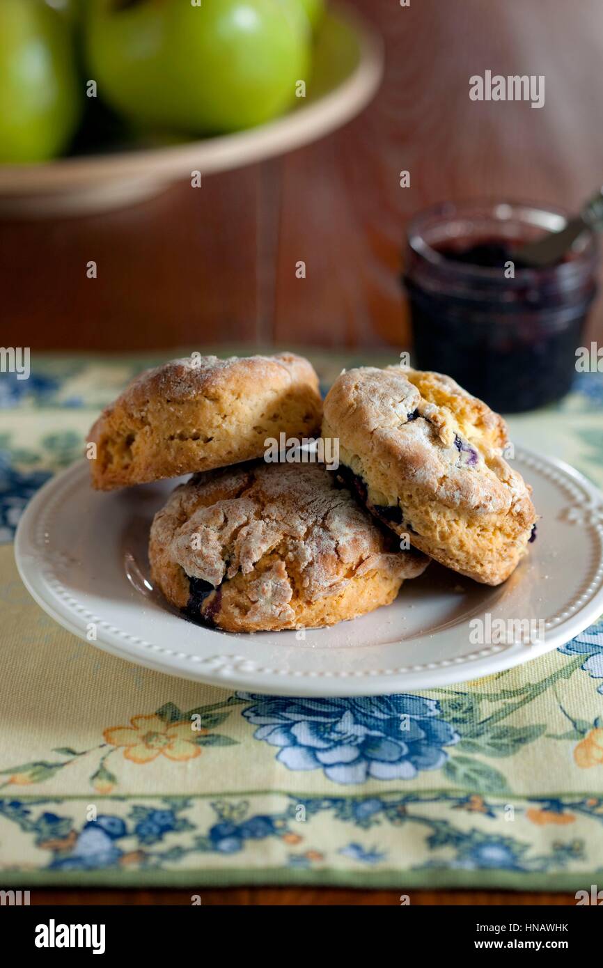 Blueberry scones sitting on white plate, Noble House Farms, New York ...