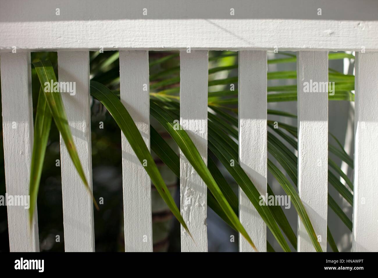 Through white hi-res stock photography and images - Alamy