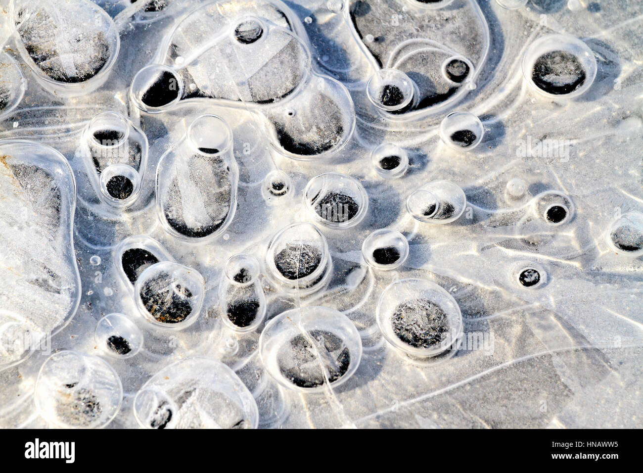 beautiful texture of frozen bubbles,Winter texture, frozen bubbles ...