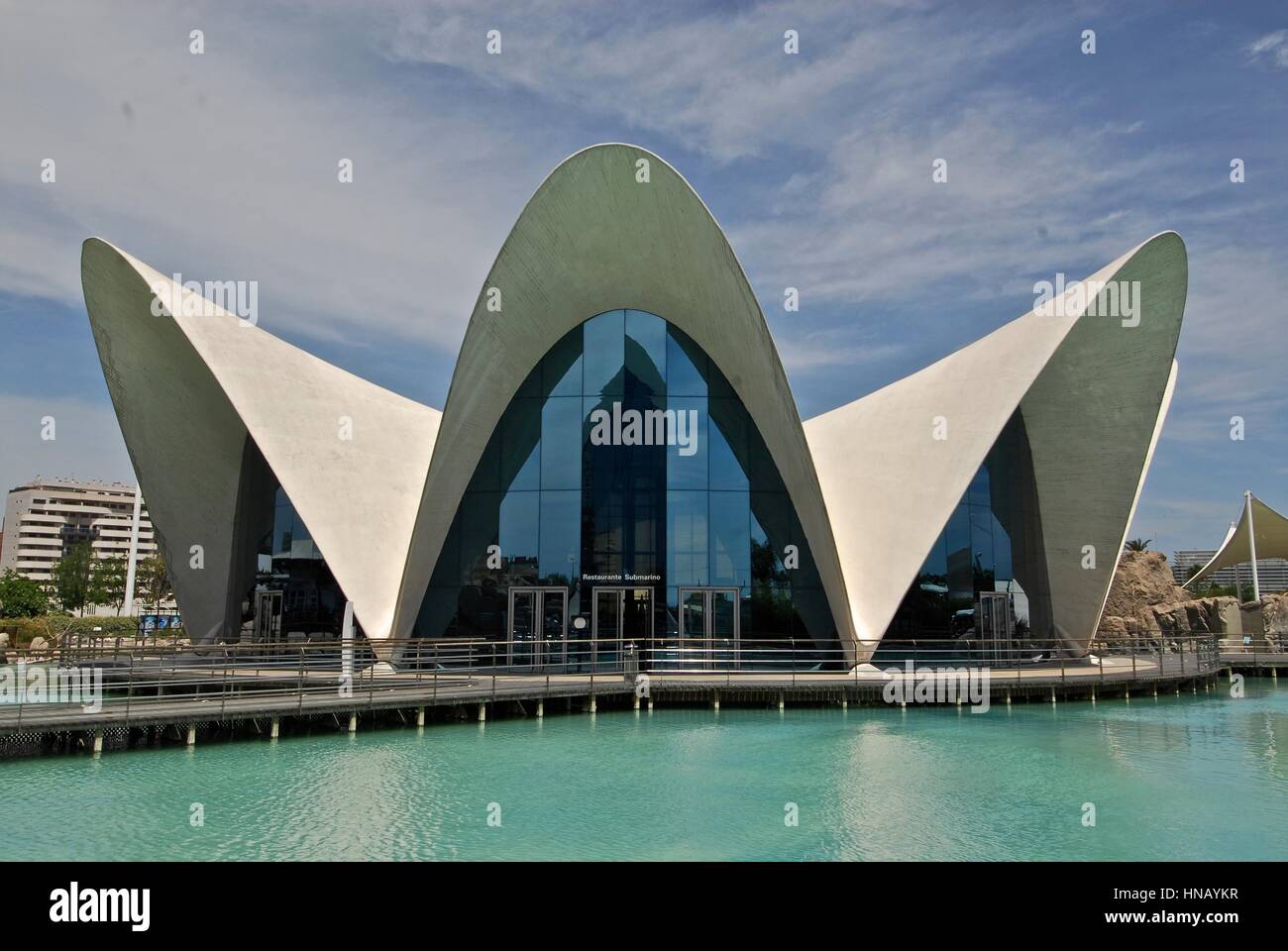 Oceanographic Aquarium. Valencia. Spain. Europe, Dolphin show ...