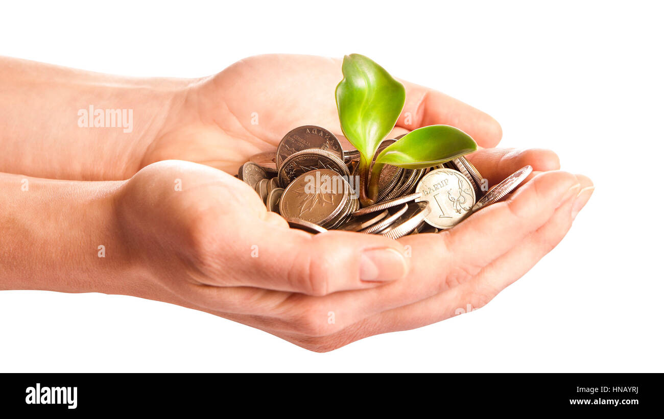 Grow money in the hands Stock Photo - Alamy