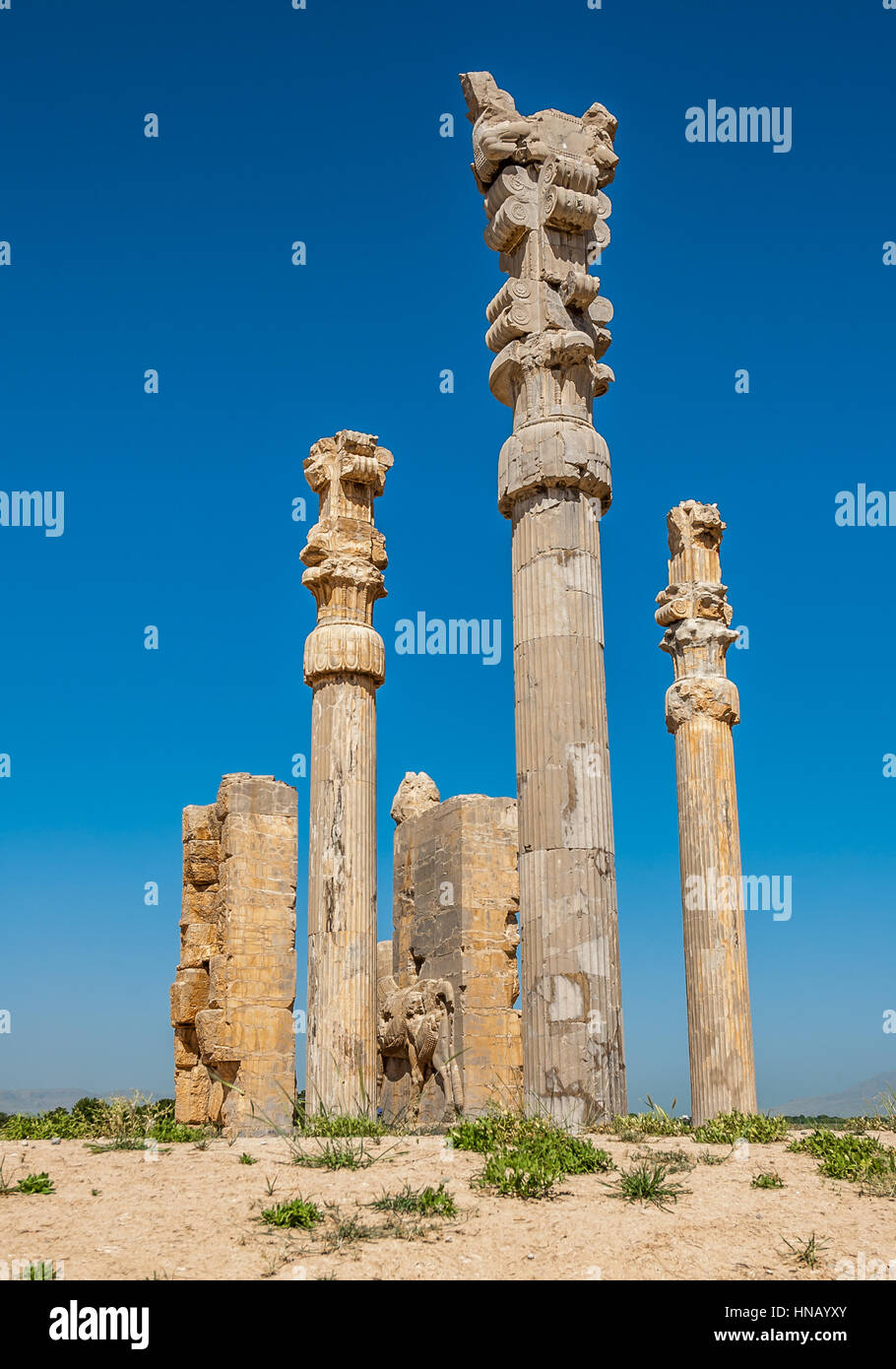 Columns of ancient city of Persepolis Stock Photo - Alamy