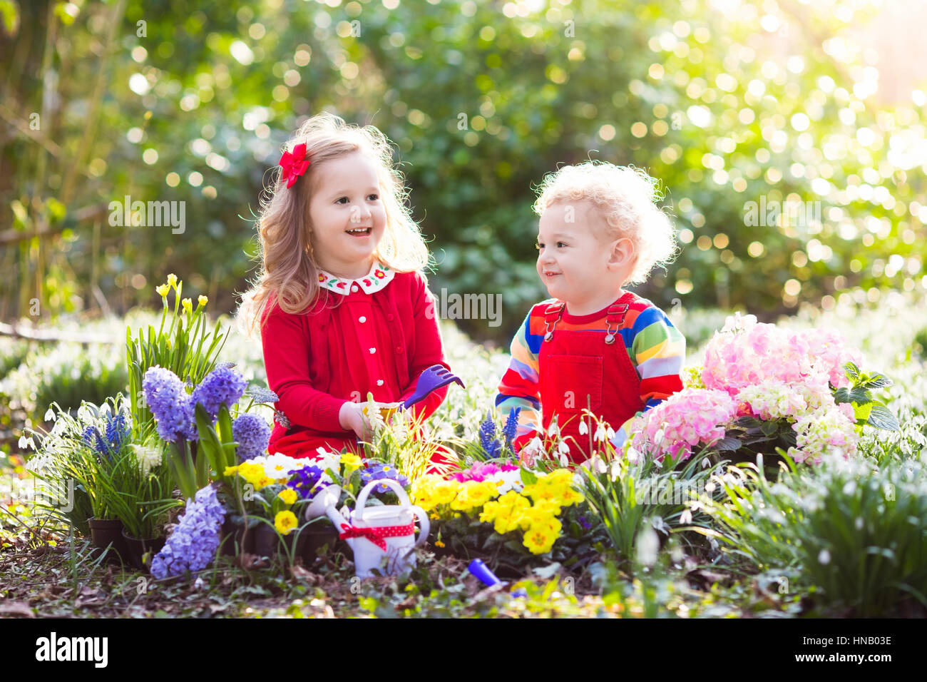 Children planting spring flowers in sunny garden. Little boy and girl ...