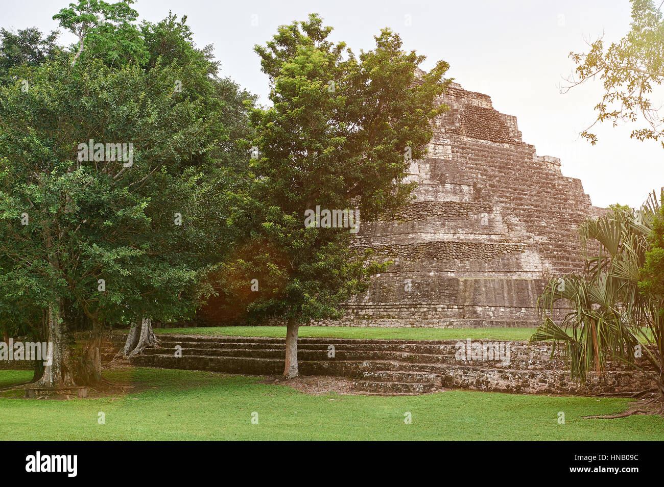 Aztec Pyramids In The Jungle High Resolution Stock Photography and ...