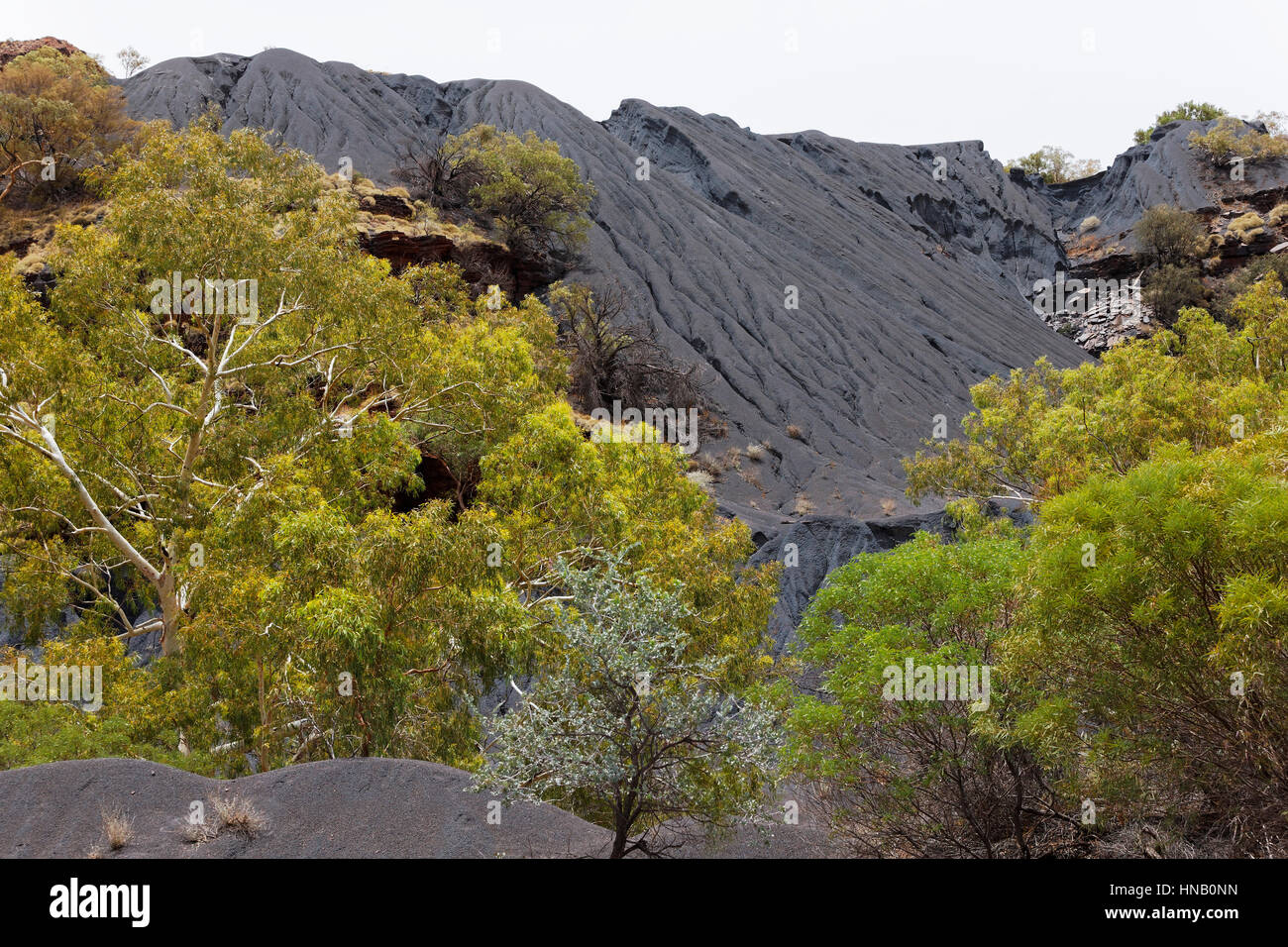 Wittenoom, australia hi-res stock photography and images - Alamy
