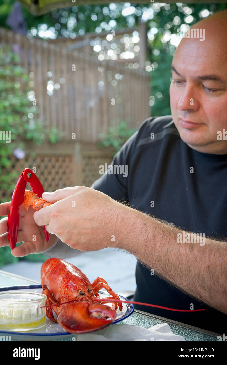 Lobster man hi-res stock photography and images - Alamy