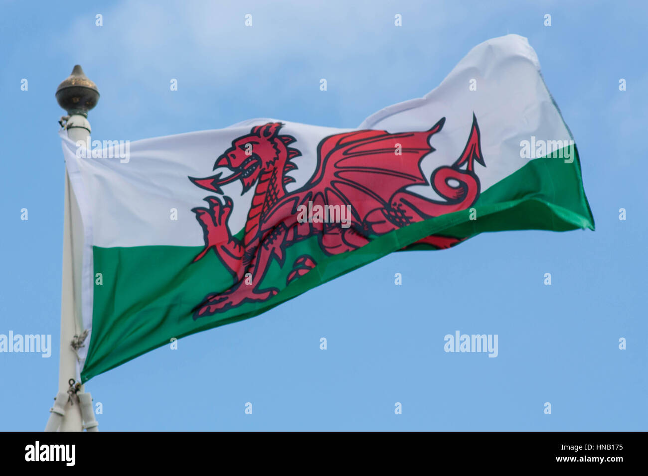 Welsh Flag Flying in the wind Stock Photo - Alamy