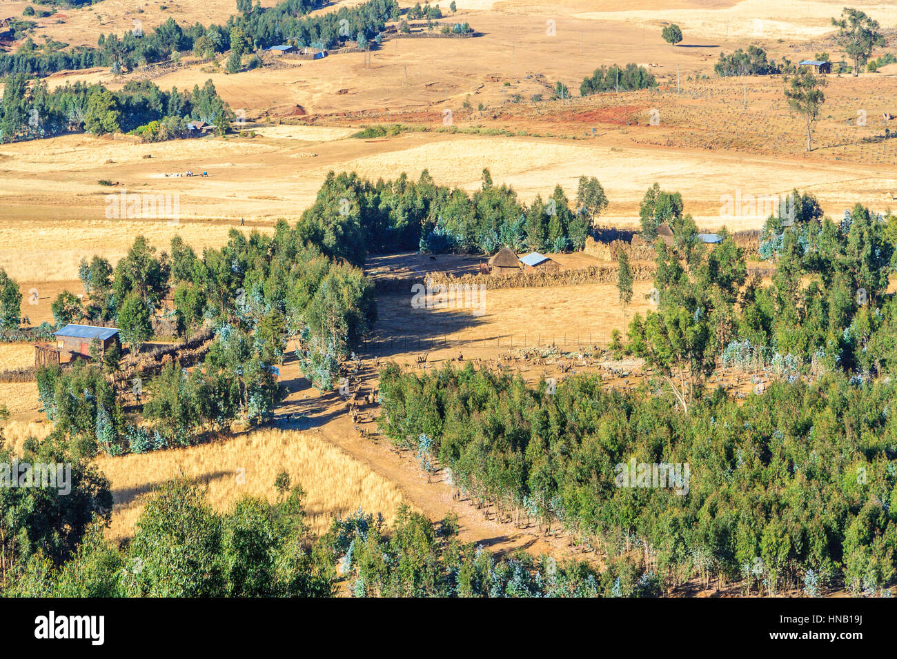 Addis ababa ethiopia countryside hi-res stock photography and images ...
