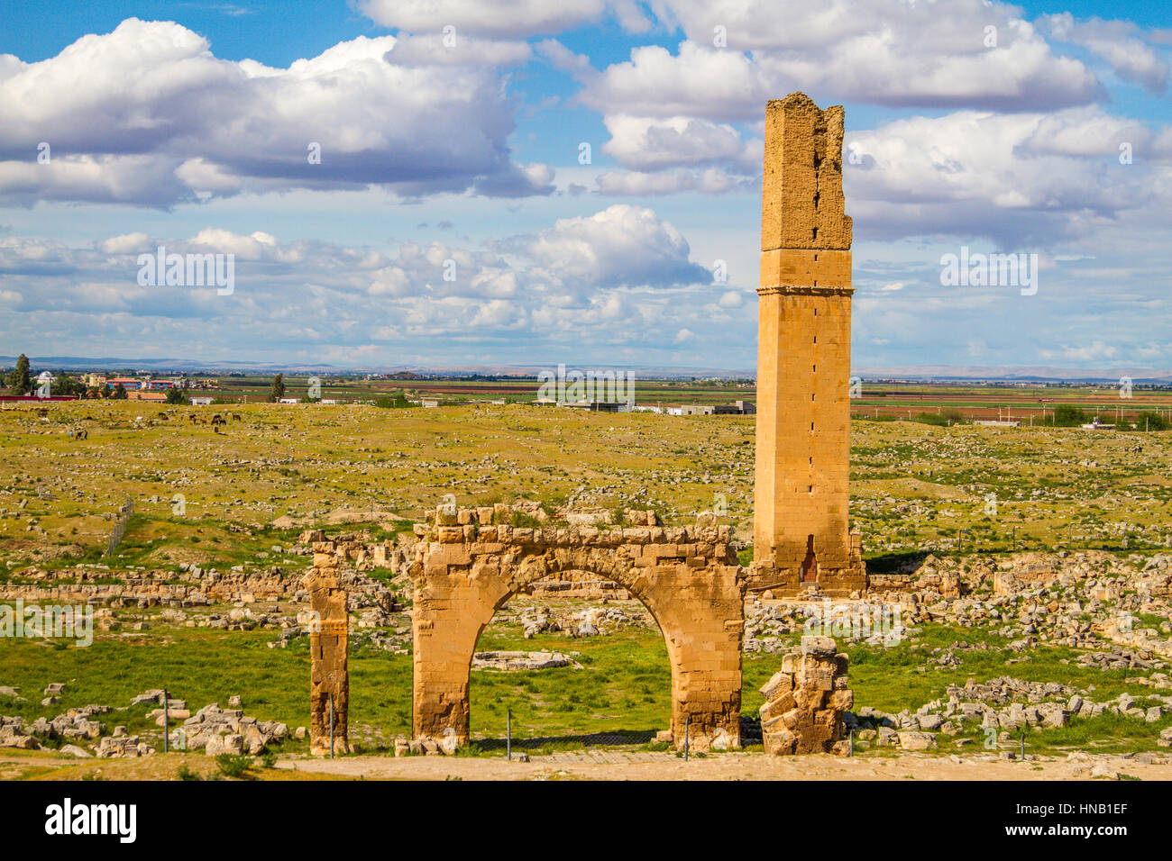This is the picture of the World's first university, Harran University ...