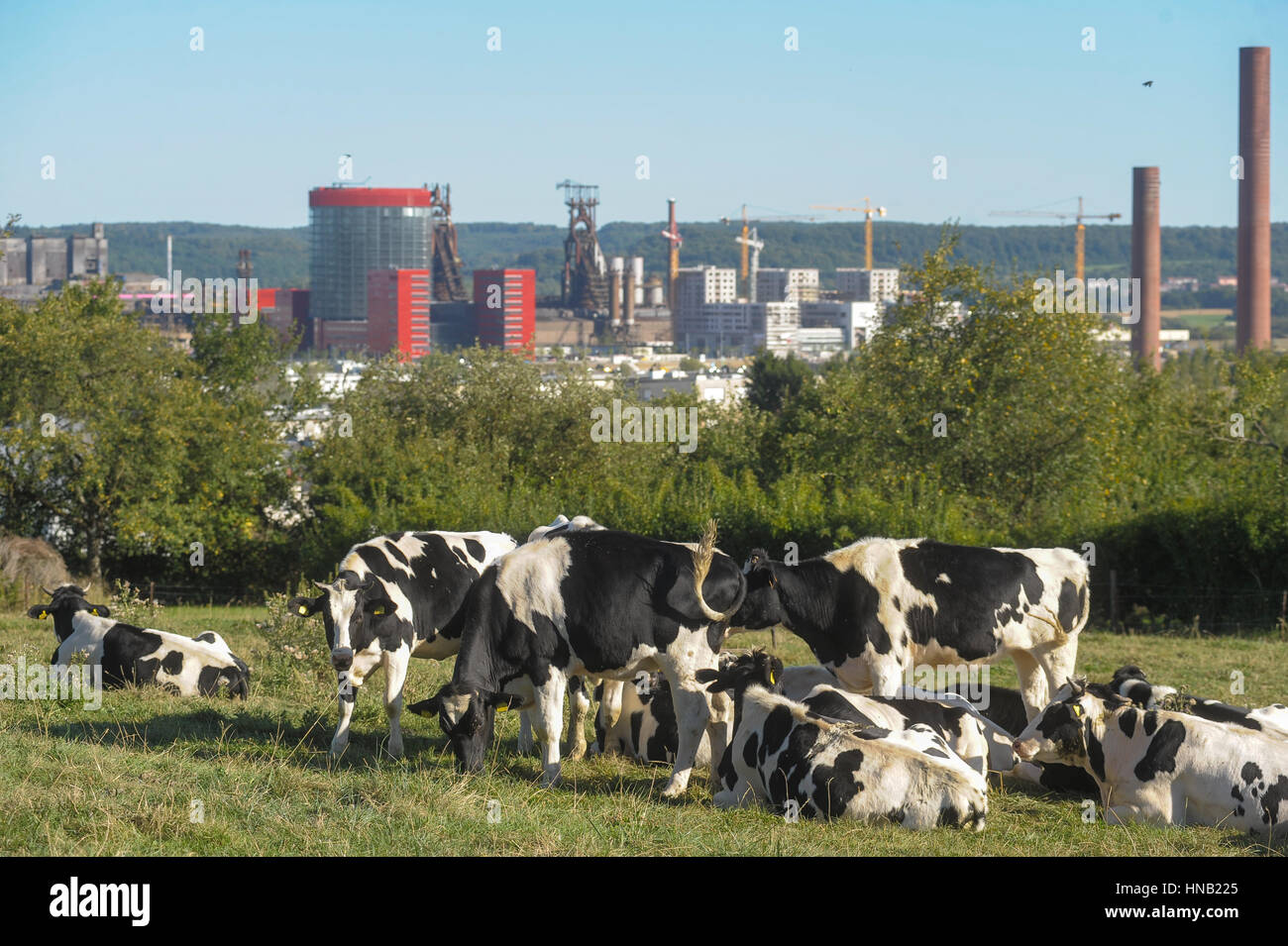 Esch-sur-Alzette, Belval, Luxembourg View of the new project city of ...