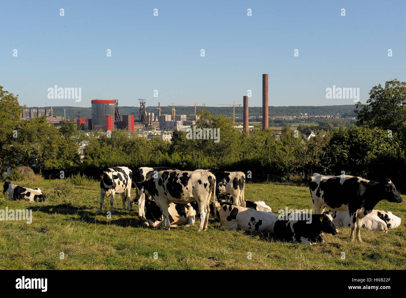 Esch-sur-Alzette, Belval, Luxembourg View of the new project city of ...