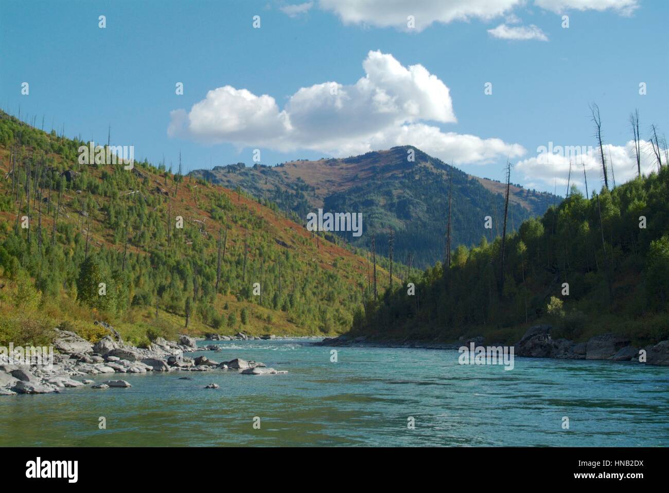 Turquoise river katun flows hi-res stock photography and images - Alamy