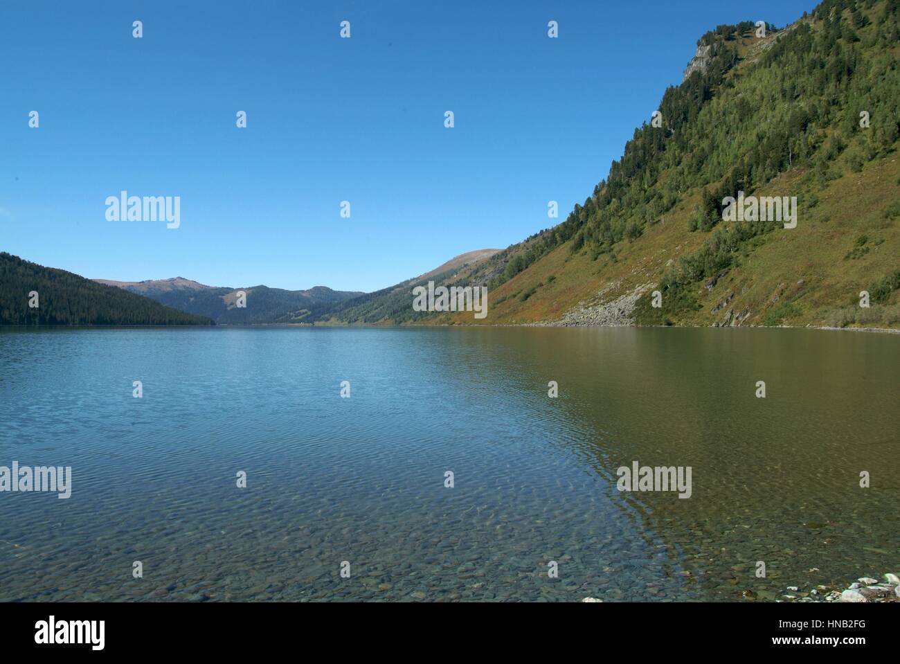 Turquoise river katun flows hi-res stock photography and images - Alamy
