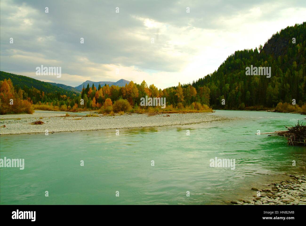Turquoise river katun flows hi-res stock photography and images - Alamy