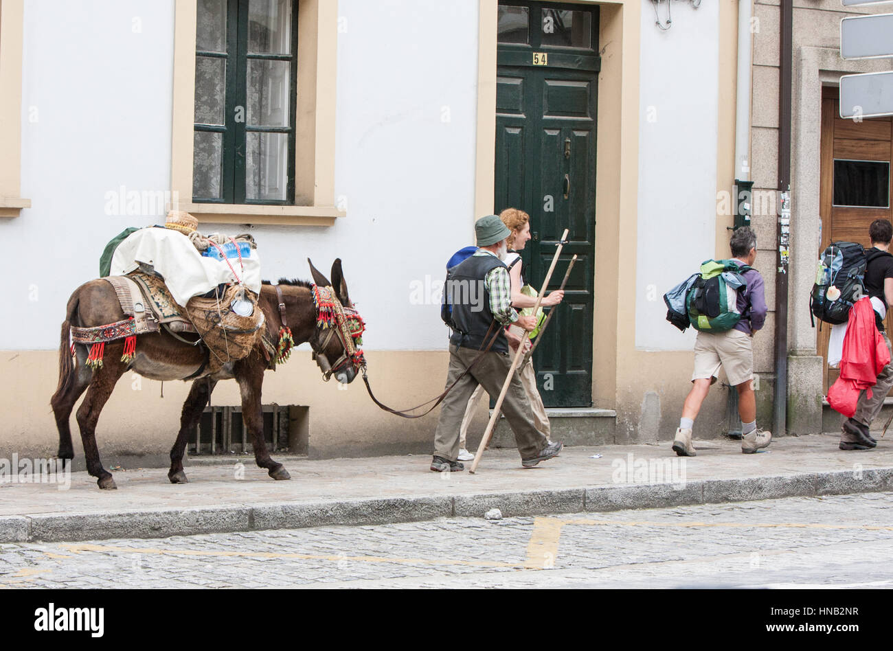 Pilgrim,pilgrims,pilgrimage,walk,walking, arriving in Santiago,De ...